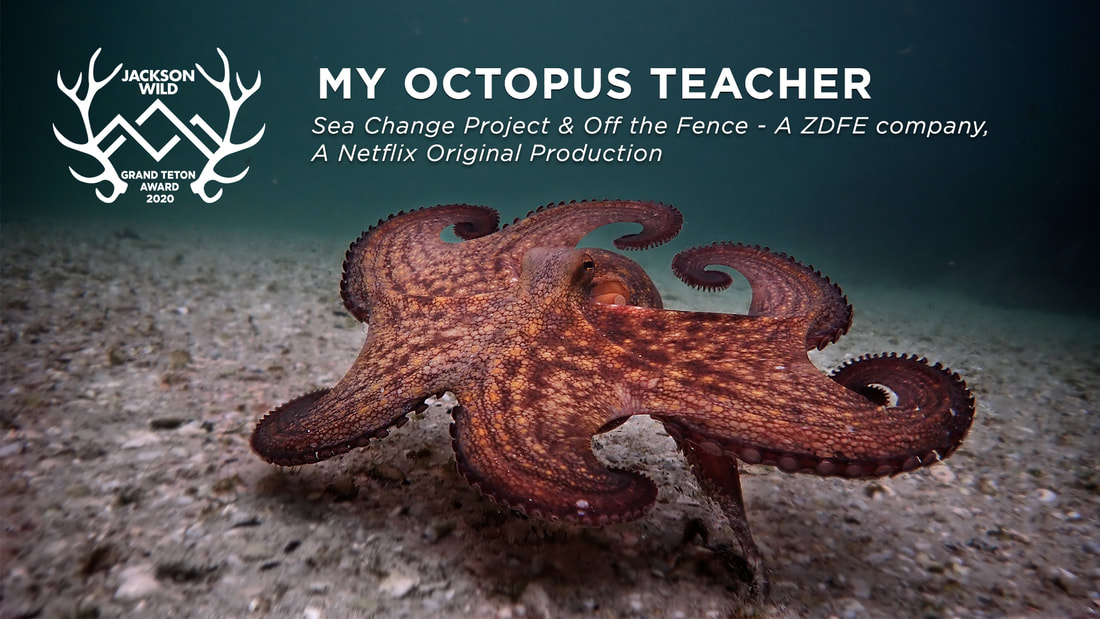 My octopus teacher – Agnes Klitsie